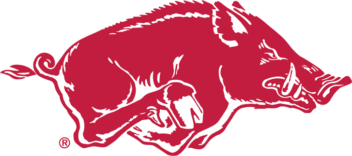 Arkansas Razorbacks 1967-2000 Alternate Logo diy iron on heat transfer ...