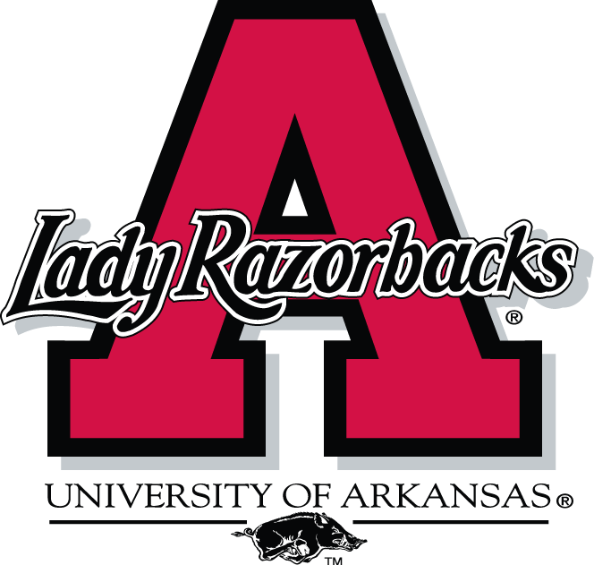 Arkansas Razorbacks 2001-2008 Alternate Logo diy iron on heat transfer ...