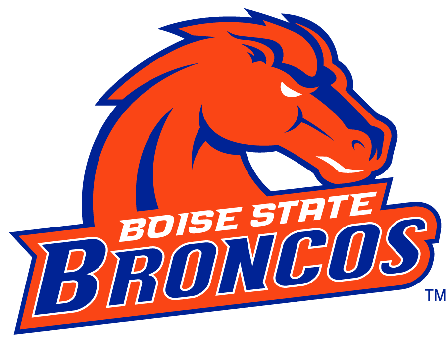 Boise State Broncos 2002-2012 Secondary Logo v27 diy iron on heat ...