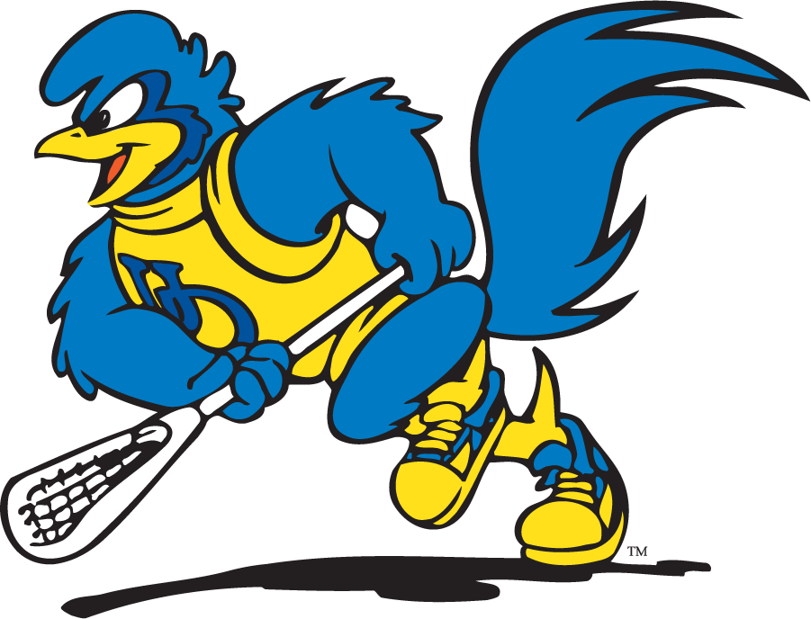 Delaware Blue Hens 1999-2009 Mascot Logo v2 diy iron on heat transfer ...