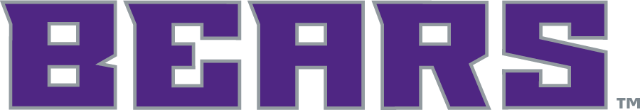 Central Arkansas Bears 2017-Pres Wordmark Logo diy iron on heat ...